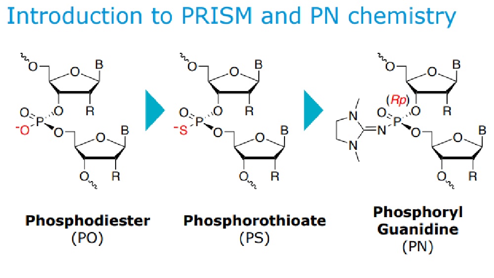 BIOTECH (8) – Wave Life Sciences의 RNA Editing 신약 가능성에 GSK가 투자하다. – BOSTON DR LIM