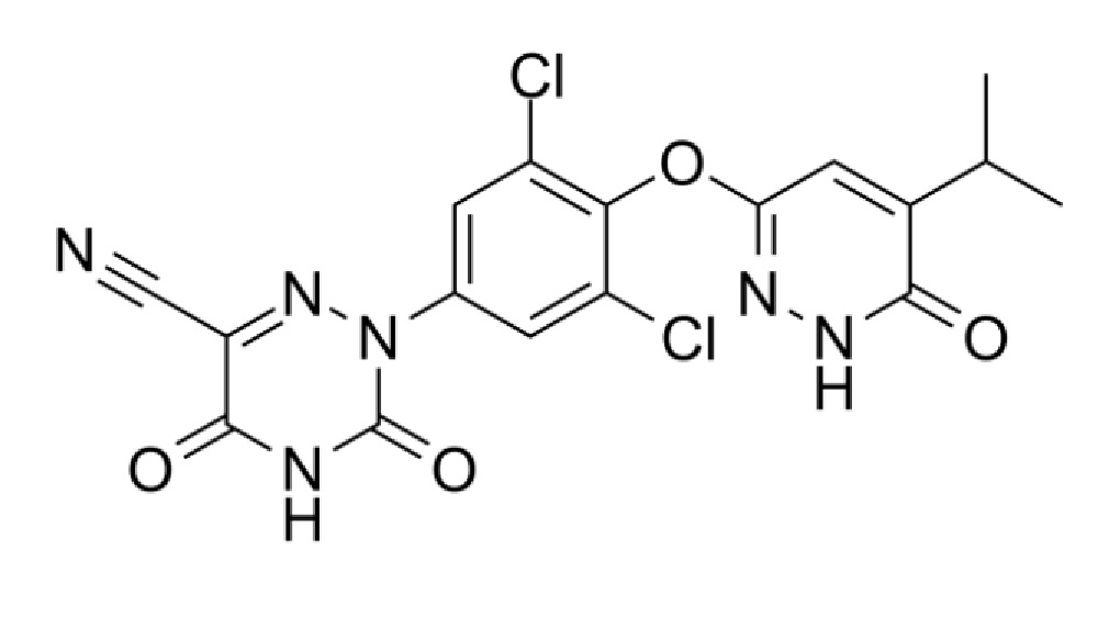 BIOTECH (10) – Madrigal Pharmaceuticals의 NASH 치료제 MGL-3196 (Resmetirom ...
