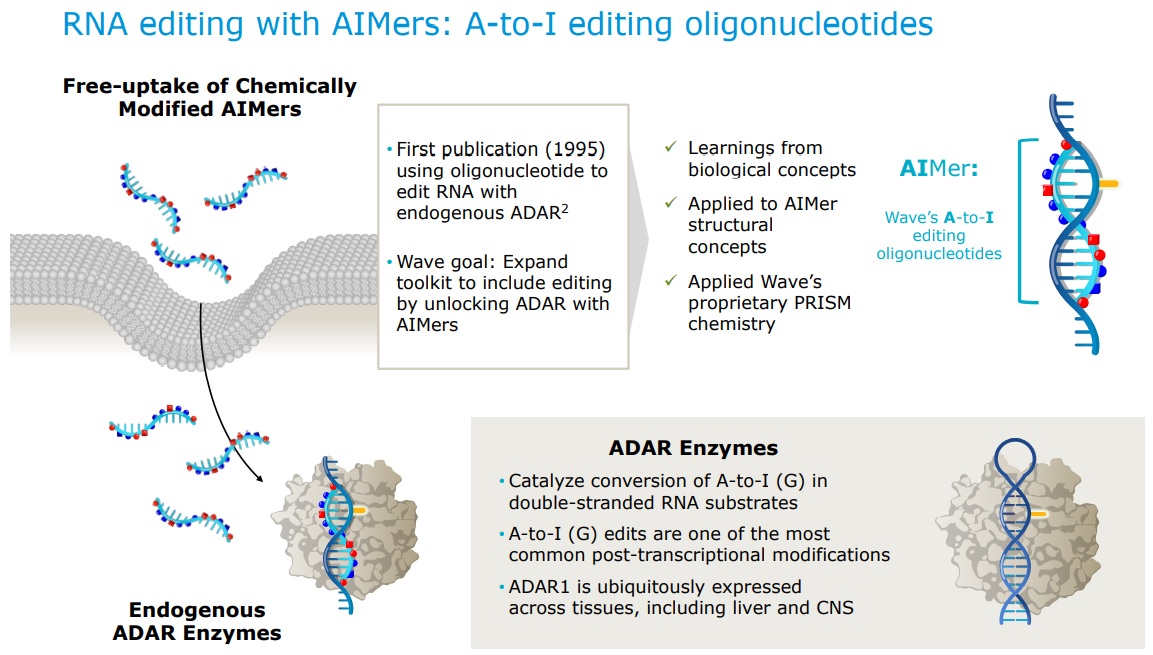 BIOTECH (8) – Wave Life Sciences의 RNA Editing 신약 가능성에 GSK가 투자하다 ...