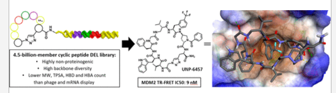 BIOTECH (62) – Unnatural Products Inc의 Macrocyclic Peptides – BOSTON DR LIM