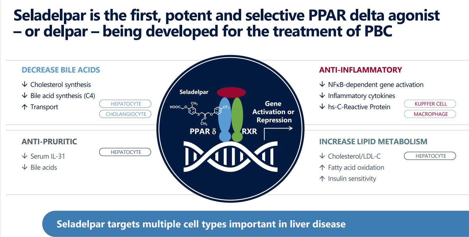 BIOTECH (89) Cymabay Therapeutics: Seladelpar, an oral, selective ...