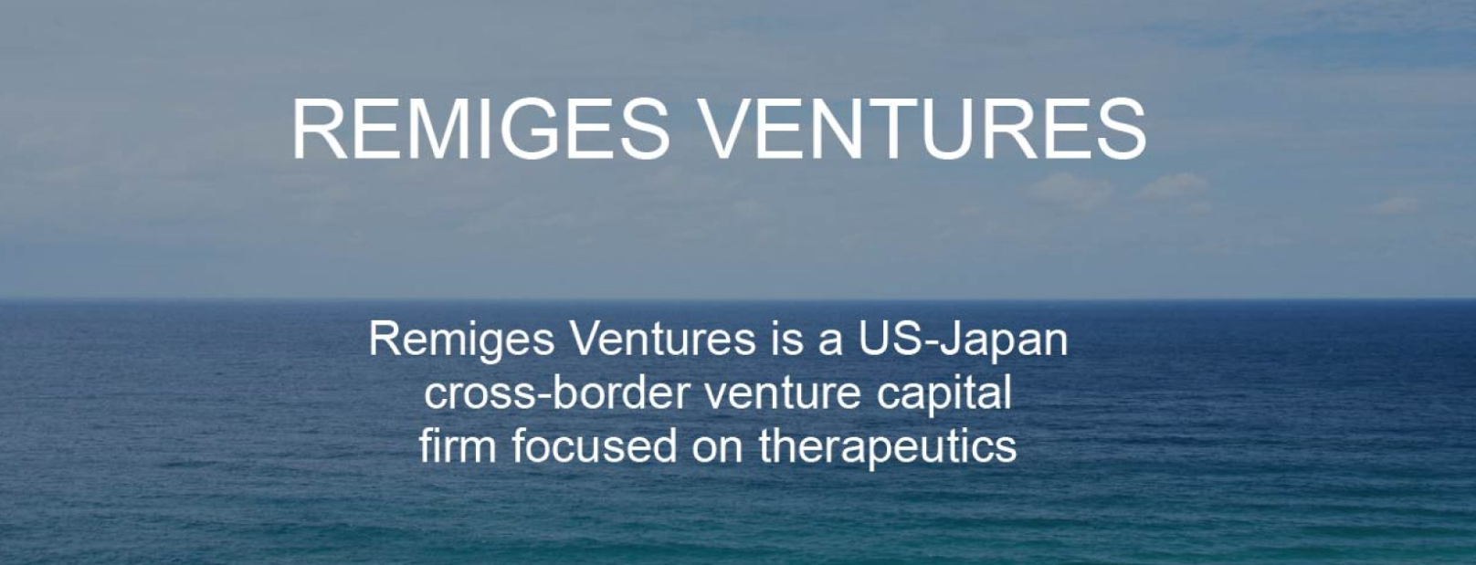 BIOTECH (78) – Remiges Ventures US-Japan Cross-Over Biotech VC – BOSTON DR LIM