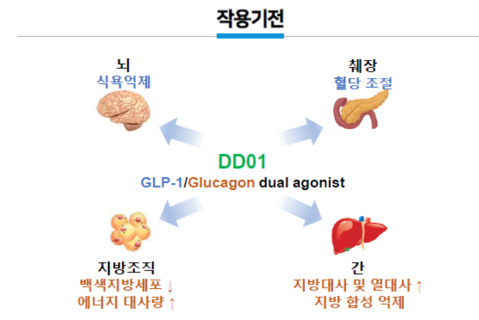 BIOTECH (170) D&D Pharmatech: GLP-1R NLY01 Clinical Failure and ...